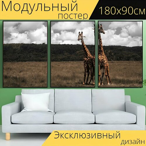 Модульный постер "Жираф, животное, сафари" 180 x 90 см. для интерьера