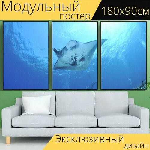 Модульный постер "Манта, море, рифовый скат манта" 180 x 90 см. для интерьера