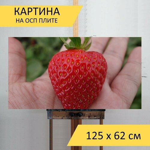 Картина на ОСП 125х62 см. "Клубника, фрукты, ягода" горизонтальная, для интерьера, с креплениями