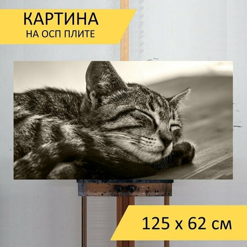 Картина на ОСП 125х62 см. "Кошка, кошачий, тигр" горизонтальная, для интерьера, с креплениями