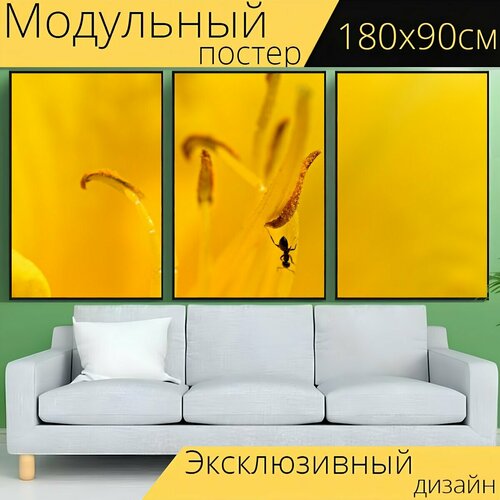 Модульный постер "Желтая лилия, цветок, завод" 180 x 90 см. для интерьера
