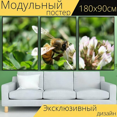 Модульный постер "Пчела, клевер, макрос" 180 x 90 см. для интерьера