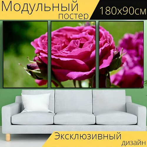 Модульный постер "Цветок, розовый, весна" 180 x 90 см. для интерьера