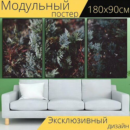 Модульный постер "Листья, завод, травяной" 180 x 90 см. для интерьера