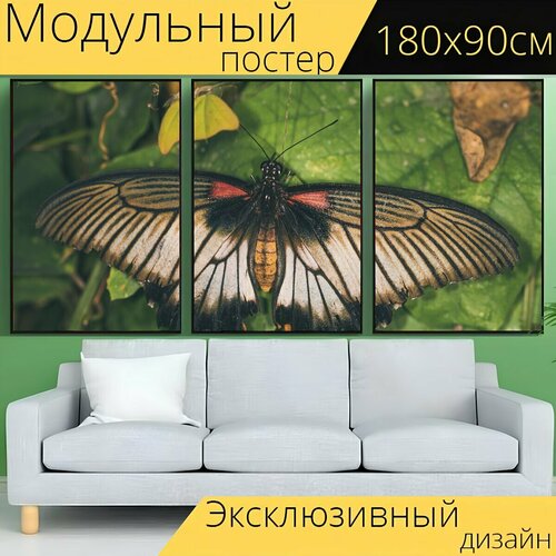 Модульный постер "Бабочка, ошибка, бабочки" 180 x 90 см. для интерьера