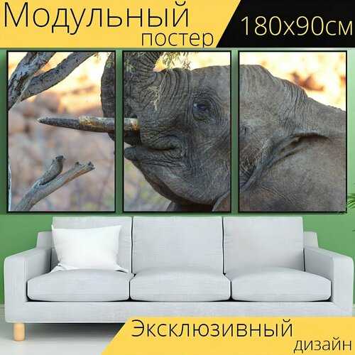 Модульный постер "Слон, молодой слон, слоненок" 180 x 90 см. для интерьера