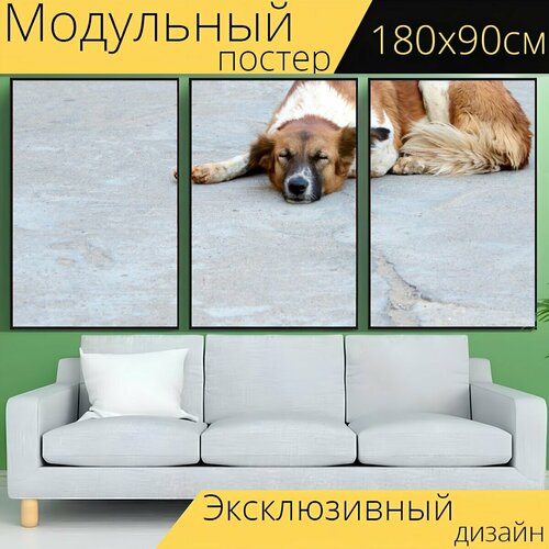 Модульный постер "Собака, спать, домашний питомец" 180 x 90 см. для интерьера
