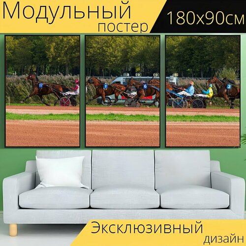 Модульный постер "Гонки, лошади, лошадь" 180 x 90 см. для интерьера