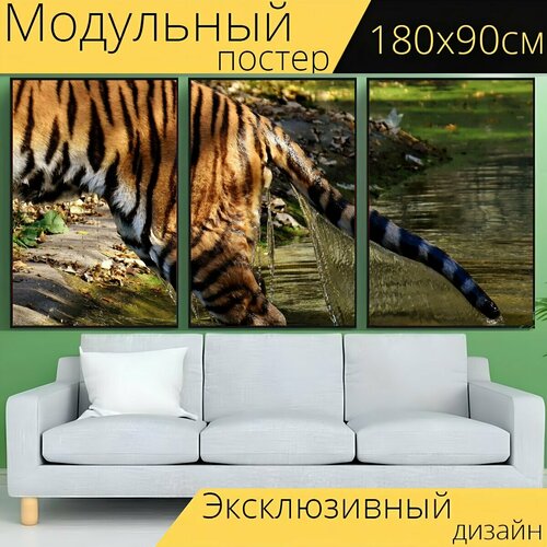 Модульный постер "Тигр, хищник, вода" 180 x 90 см. для интерьера