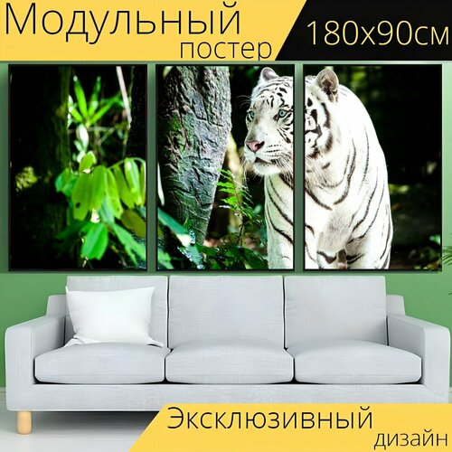 Модульный постер "Тигр, белый тигр, дикий кот" 180 x 90 см. для интерьера