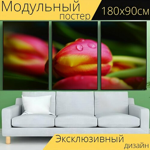 Модульный постер "Тюльпаны, весна, расцветает" 180 x 90 см. для интерьера