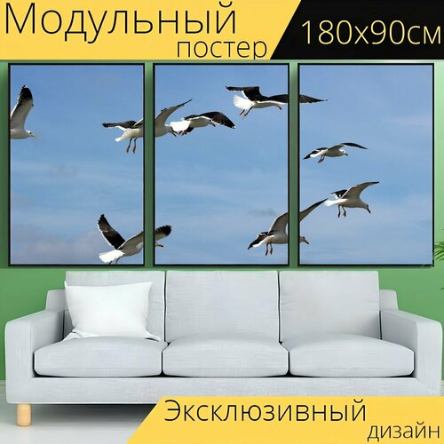 Модульный постер "Птица, чайка, тексель" 180 x 90 см. для интерьера
