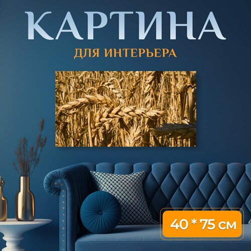 Картина на холсте "Шип, пшеница, зерно" на подрамнике 75х40 см. для интерьера