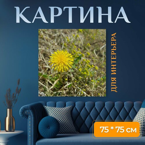 Картина на холсте "Одуванчик, весна, цветок" на подрамнике 75х75 см. для интерьера
