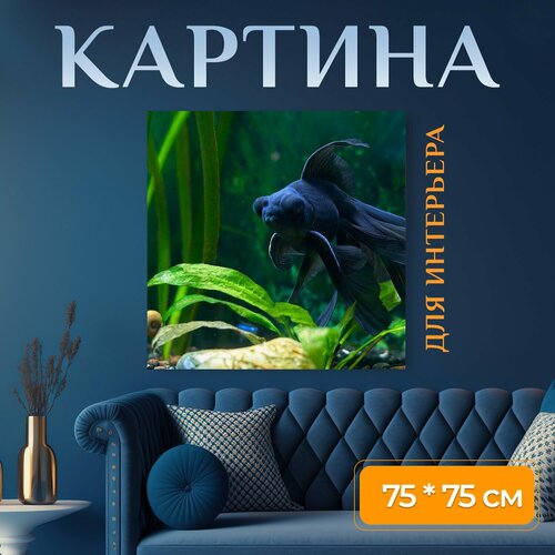 Картина на холсте "Аквариум, рыба, животные" на подрамнике 75х75 см. для интерьера