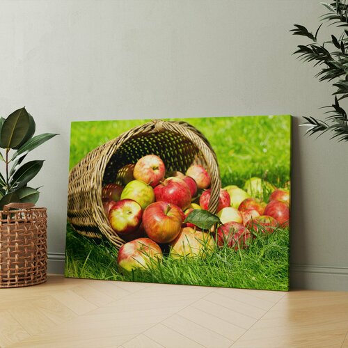 Картина на холсте "Корзина, полная яблок, сидит в траве" 30x40 см. Интерьерная, на стену.