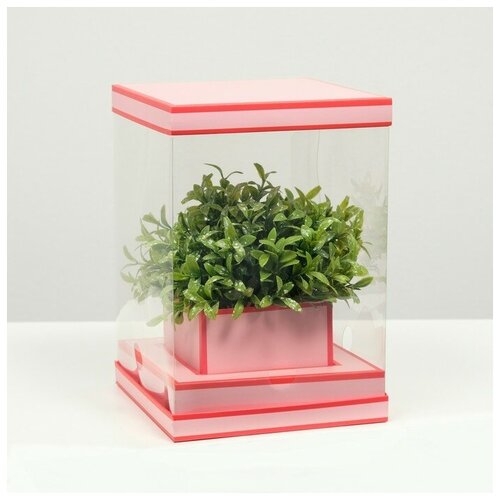 UPAK LAND Коробка для цветов с вазой и PVC окнами складная, насыщенно-розовый, 16 х 23 х 16 см