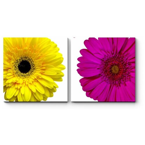 Модульная картина Насыщенность цветочных красок160x80