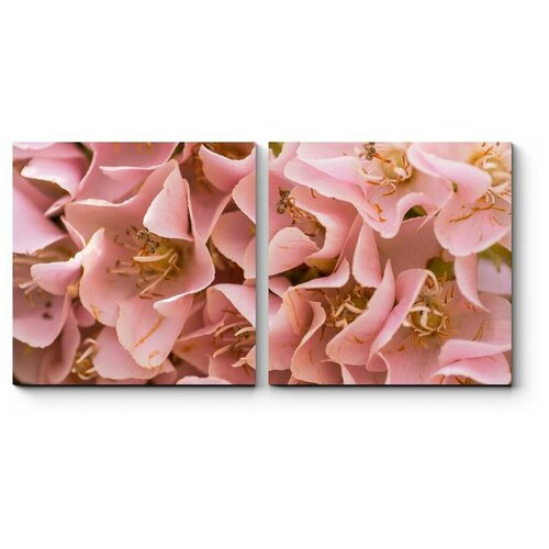 Модульная картина Розовые лепестки130x65