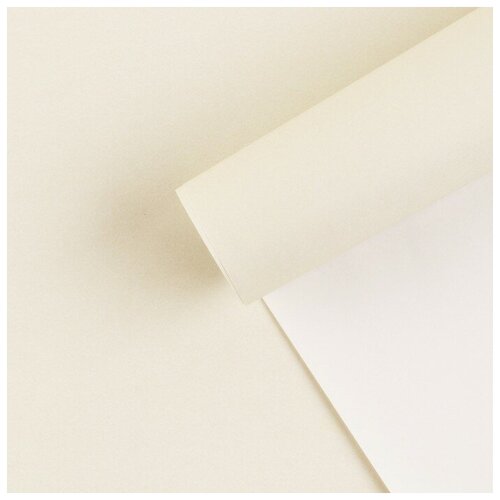 Бумага упаковочная крафтовая «Молочная», 70 × 100 см