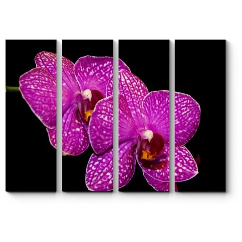 Модульная картина Тропическая орхидея 170x128