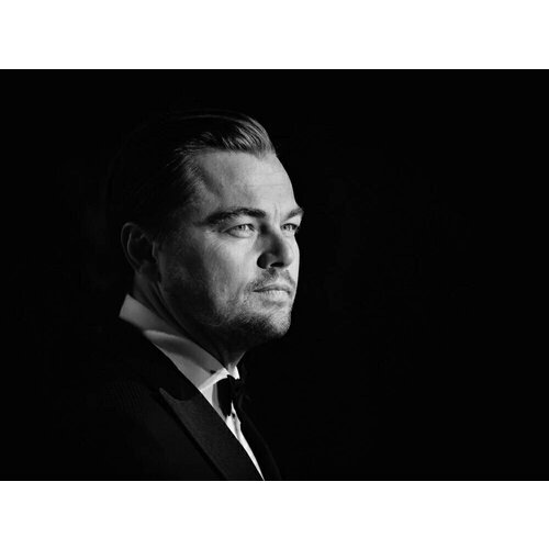 Плакат, постер на холсте Leonardo DiCaprio/Леонардо Ди Каприо/черно-белый. Размер 21 х 30 см