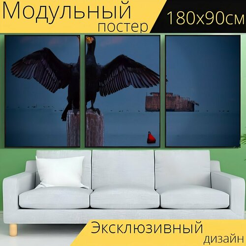 Модульный постер "Баклан, летучие, природа" 180 x 90 см. для интерьера