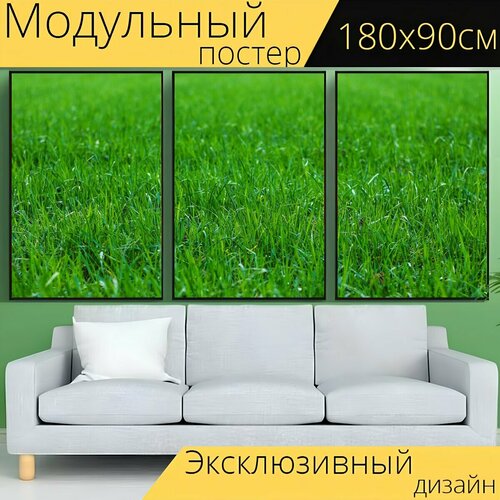 Модульный постер "Трава, луг, лужайка" 180 x 90 см. для интерьера