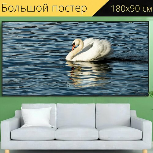 Большой постер "Лебедь, озеро, вода" 180 x 90 см. для интерьера