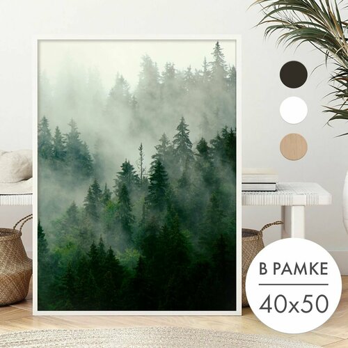 Плакат Постер 40х50 В рамке "Темный лес в дымке" для интерьера