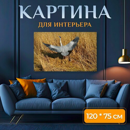 Картина на холсте "Птица, цапля, дикая природа" на подрамнике 120х75 см. для интерьера