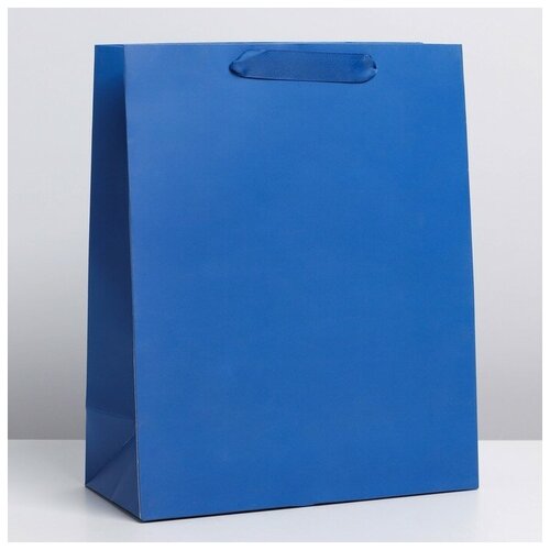 Пакет ламинированный "Синий", ML 23x27x11.5 см