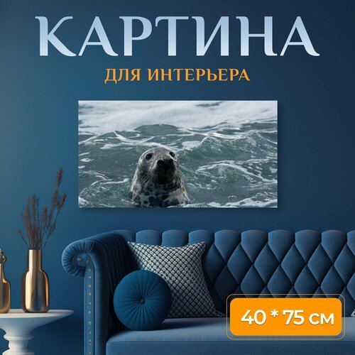 Картина на холсте "Тюлень, море, дикая природа" на подрамнике 75х40 см. для интерьера