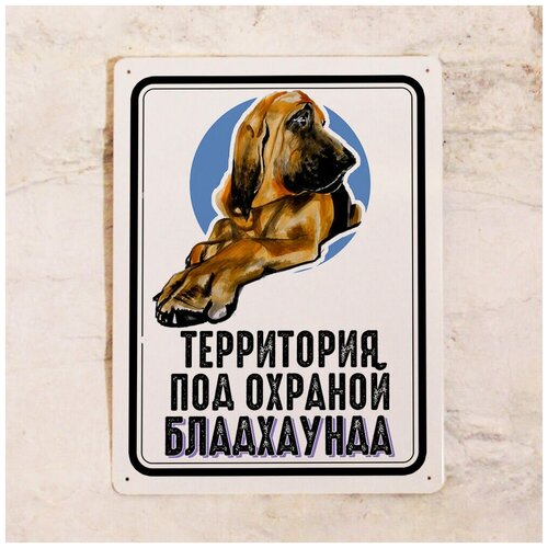 Металлическая табличка Территория под охраной Бладхаунда, таблички про собак на забор, дверь, калитку, металл, 20х30 см.