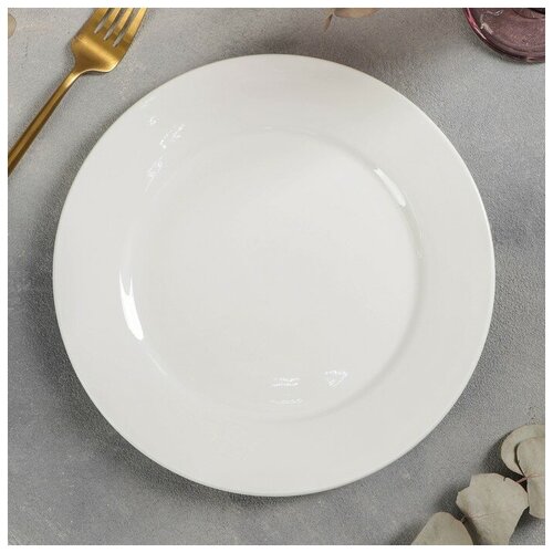 Тарелка фарфоровая обеденная с утолщённым краем White Label, d=22,5 см, цвет белый