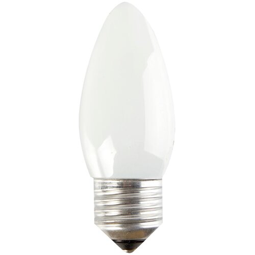 Лампа накаливания  для бытовой техники OSRAM CLASSIC B FR, E27, 60 Вт, 2700 К