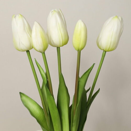 EDG Силиконовые тюльпаны Principe Bianco 5 шт, 40 см 216002,12