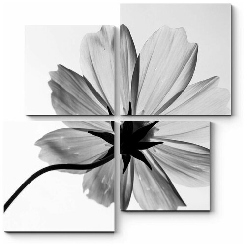 Модульная картина Монохромный цветок 160x160