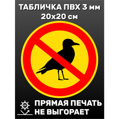 Табличка информационная Птиц нет 20х20 см