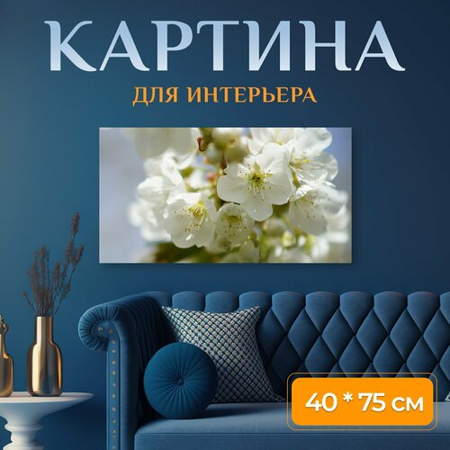 Картина на холсте "Яблоня, цвести, весна" на подрамнике 75х40 см. для интерьера