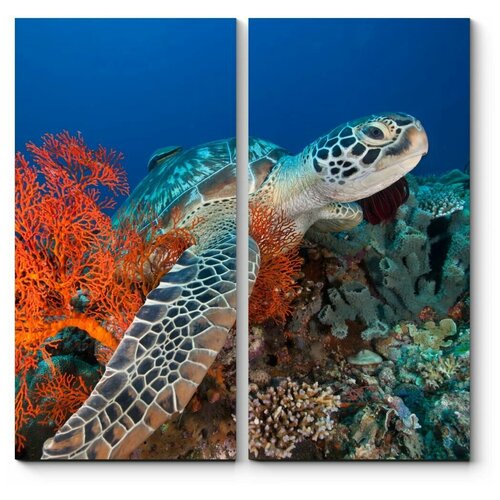 Модульная картина Морская черепаха в кораллах80x80