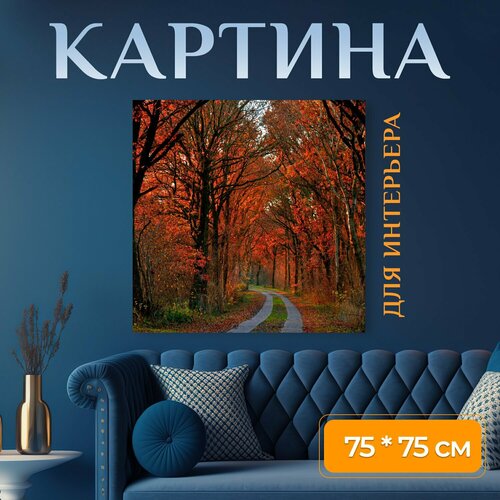 Картина на холсте "Осеннее настроение, деревья, осенние краски" на подрамнике 75х75 см. для интерьера