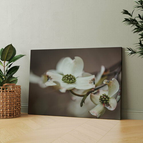 Картина на холсте (Белые цветочки, растение, цветы, природа) 30 40 см/для интерьера/в комнату/на стену/в подарок