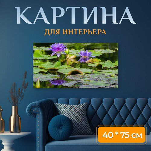 Картина на холсте "Цветок, водяные лилии, садовый пруд" на подрамнике 75х40 см. для интерьера