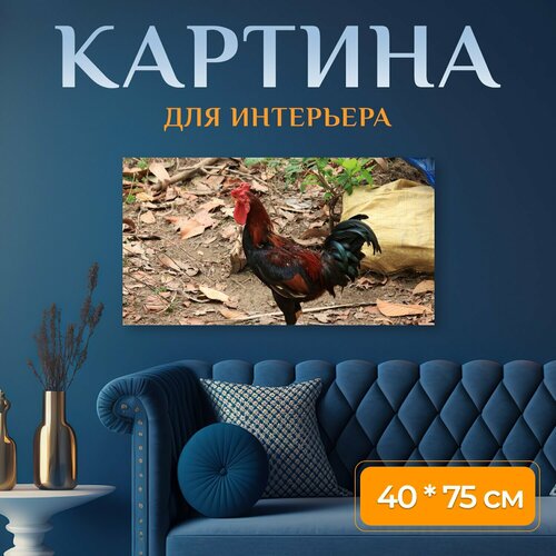 Картина на холсте "Керала, курица, птица" на подрамнике 75х40 см. для интерьера
