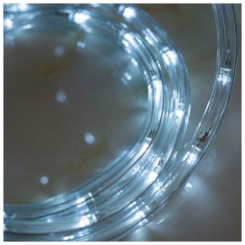 LED шнур 10 мм, круглый, 5 м, чейзинг, 2W-LED/м-24-220V, с контр. 8р, белый Luazon Lighting