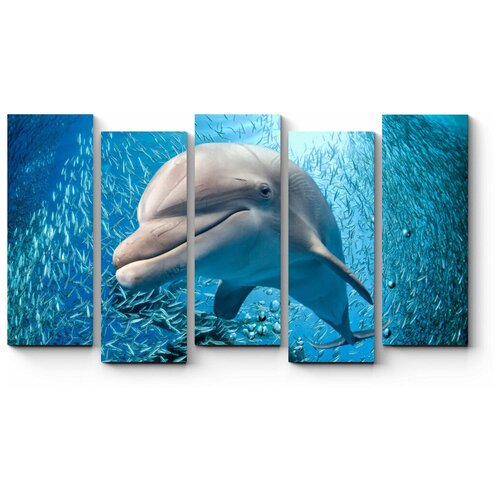Модульная картина Улыбка дельфина 150x87