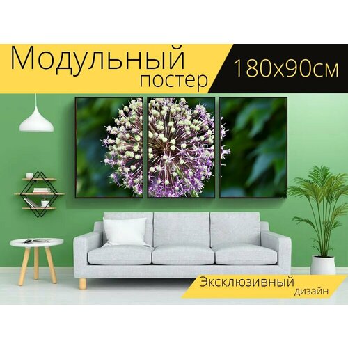 Модульный постер "Декоративные лук, лук, цветочный шар" 180 x 90 см. для интерьера