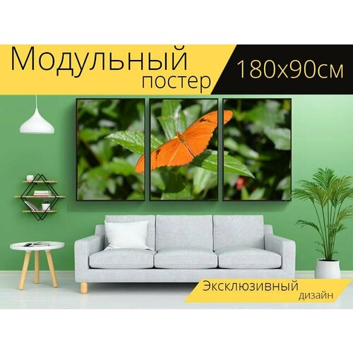 Модульный постер "Бабочка, апельсин, насекомое" 180 x 90 см. для интерьера