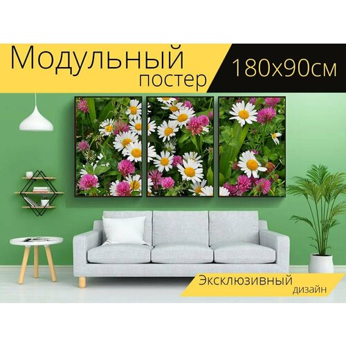 Модульный постер "Трилистник, луговые цветы, ромашки" 180 x 90 см. для интерьера